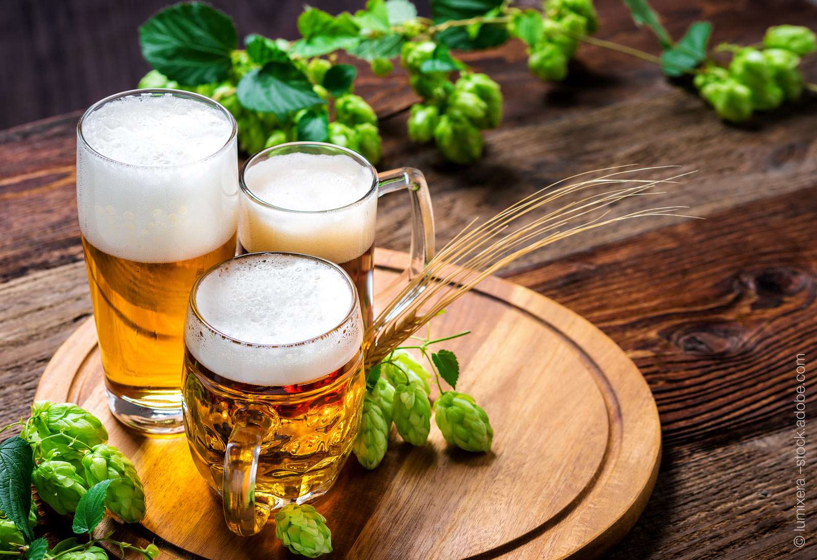 International Beer Day 2021 MACHEREY NAGEL international-beer-day-2021-macherey-nagel